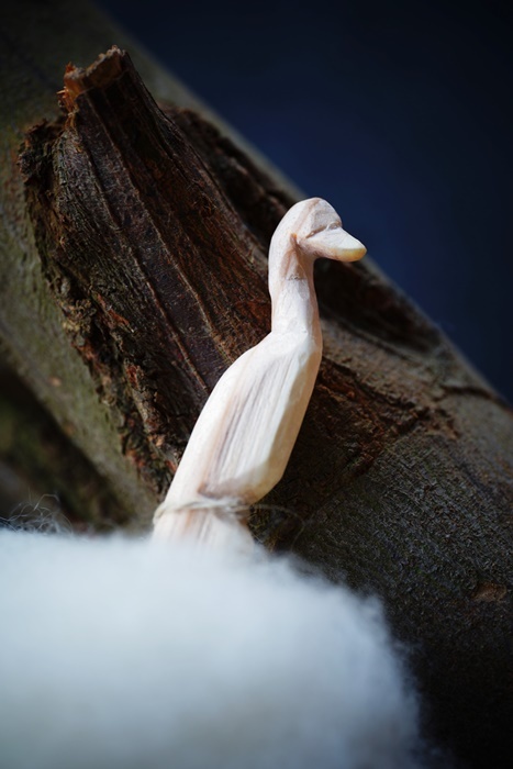 My Black Wattle Woodpile - The Gift That Keeps On Giving
